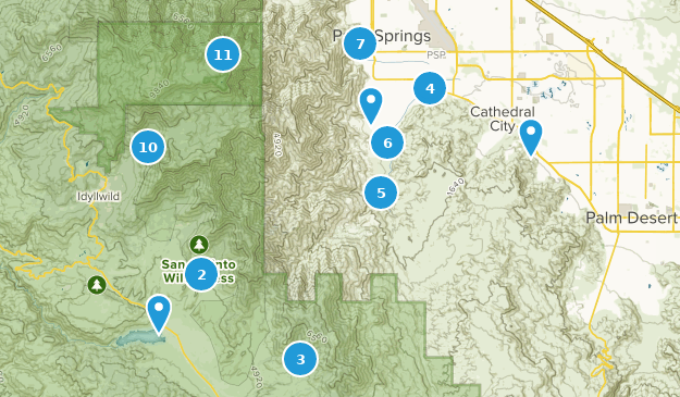 Best Bird Watching Trails near Palm Springs, California | AllTrails