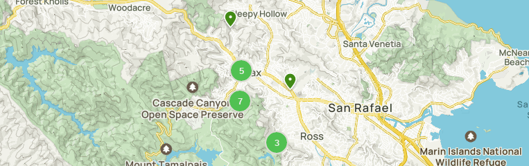 Best Forest Trails in San Anselmo | AllTrails