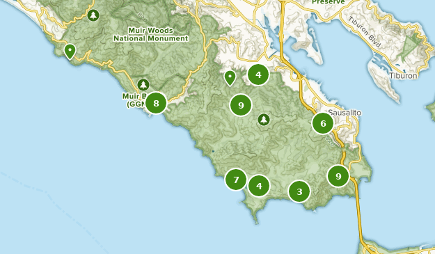 Best Walking Trails near Sausalito, California | AllTrails