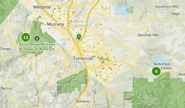 Best Wild Flowers Trails near Temecula, California | AllTrails