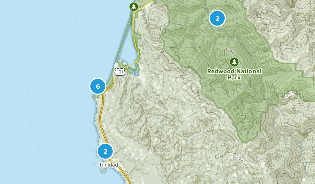 Best Forest Trails near Trinidad, California | AllTrails