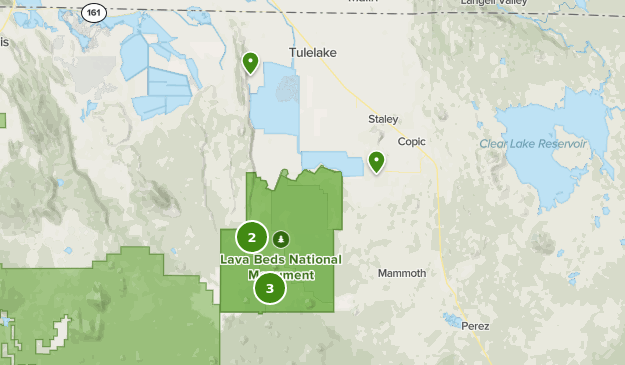 Best Bird Watching Trails near Tulelake, California | AllTrails