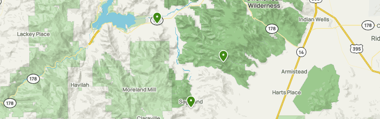 2023 Best Forest Trails in Weldon | AllTrails