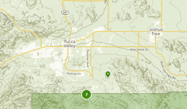 Best Bird Watching Trails near Yucca Valley, California | AllTrails