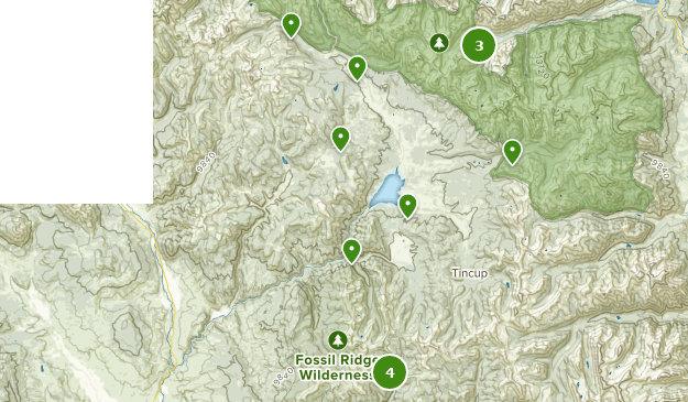 Best Lake Trails near Almont, Colorado | AllTrails