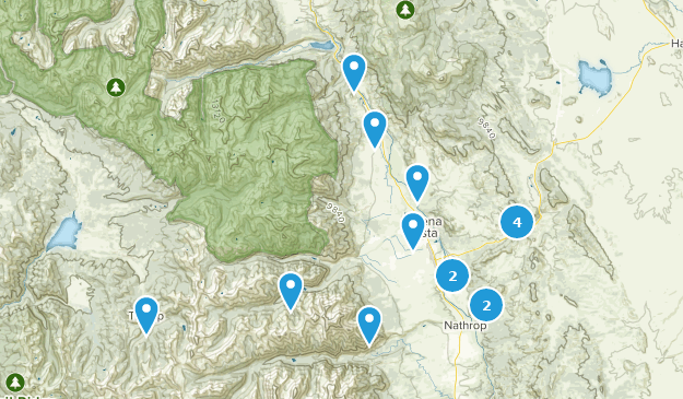 Best OHV / Off Road Driving Trails near Buena Vista, Colorado | AllTrails