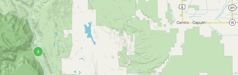 Best Forest Trails in Capulin | AllTrails