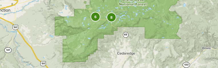 2023 Best Easy Trails in Cedaredge | AllTrails