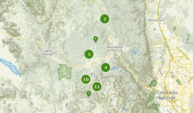 Best Forest Trails near Divide, Colorado | AllTrails