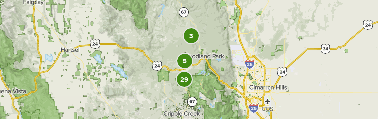 10 Best Forest Trails in Divide | AllTrails