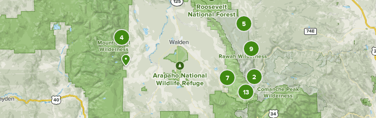 10 Best Forest Trails in Walden | AllTrails