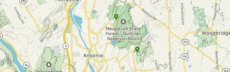 Best Horseback Riding Trails in Ansonia | AllTrails
