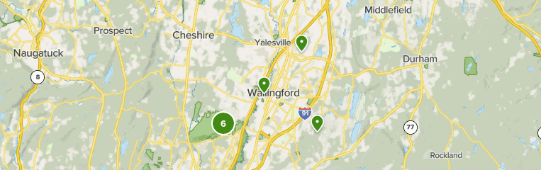 Best Forest Trails in Wallingford | AllTrails
