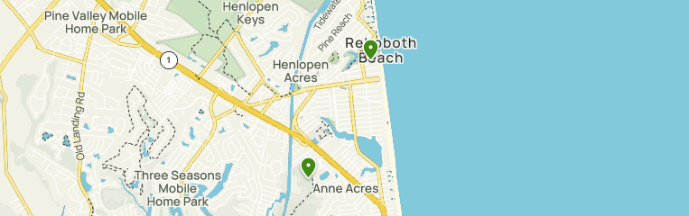 Best Bird Watching Trails in Rehoboth Beach | AllTrails