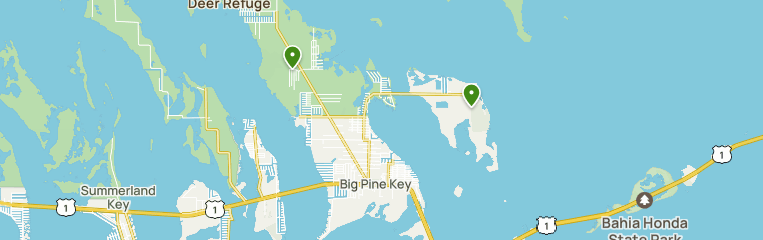 Best Trail Running Trails in Big Pine Key | AllTrails