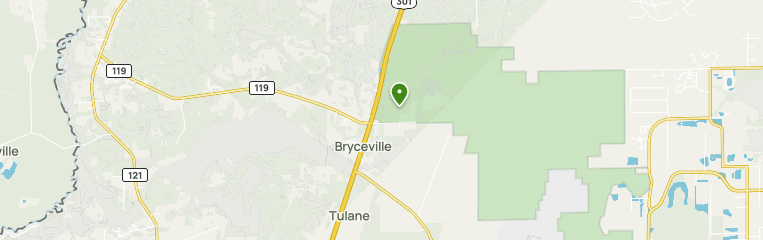 Best Walking Trails in Bryceville | AllTrails