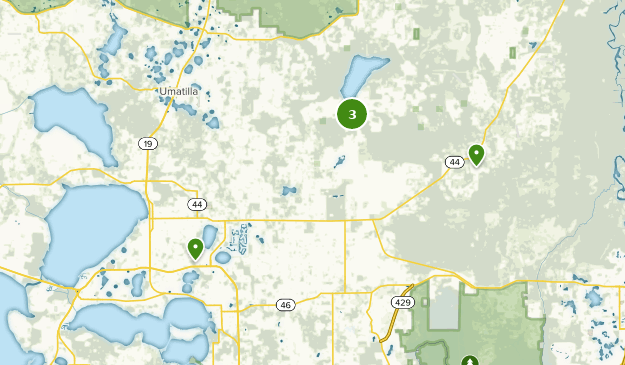 Best Lake Trails near Eustis, Florida | AllTrails