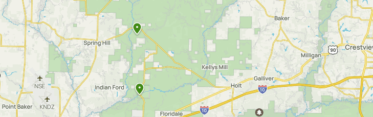 Best Walking Trails in Holt | AllTrails