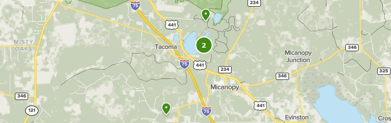 Best Forest Trails in Micanopy | AllTrails