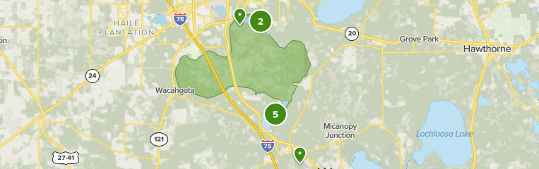 10 Best Kid Friendly Trails in Micanopy | AllTrails