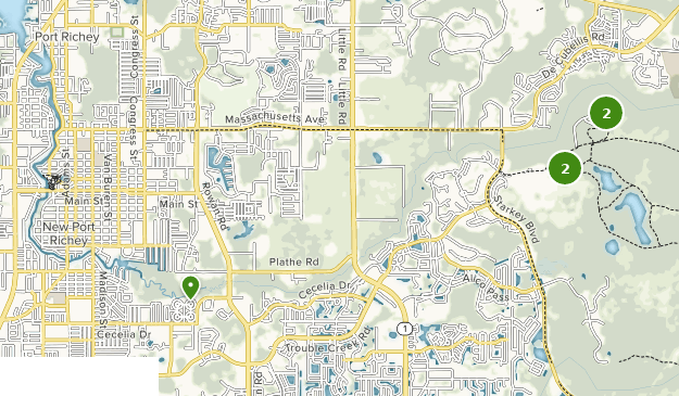 Best Forest Trails near New Port Richey, Florida | AllTrails