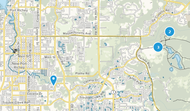 Best Walking Trails near New Port Richey, Florida | AllTrails