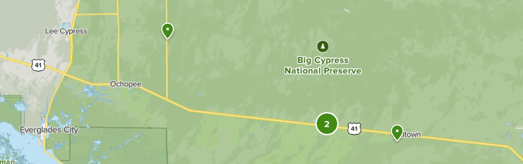 Best Off Road Driving Trails in Ochopee | AllTrails