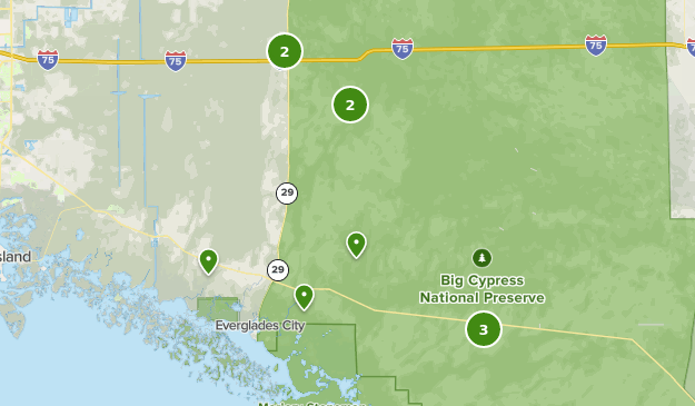 Best Views Trails near Ochopee, Florida | AllTrails