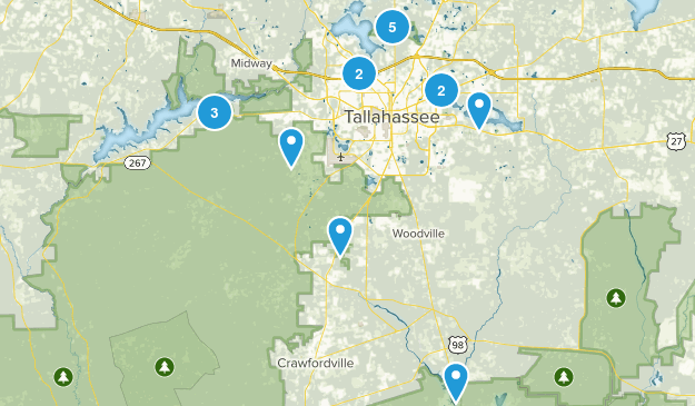 Best Bird Watching Trails near Tallahassee, Florida | AllTrails