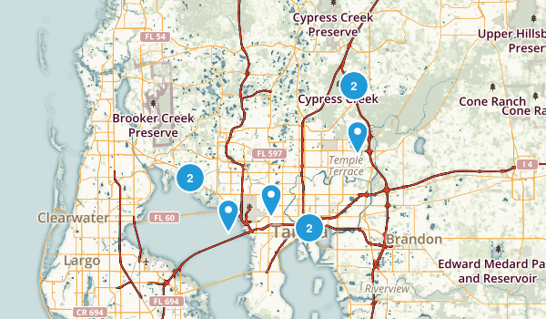 Best Birding Trails near Tampa, Florida | AllTrails