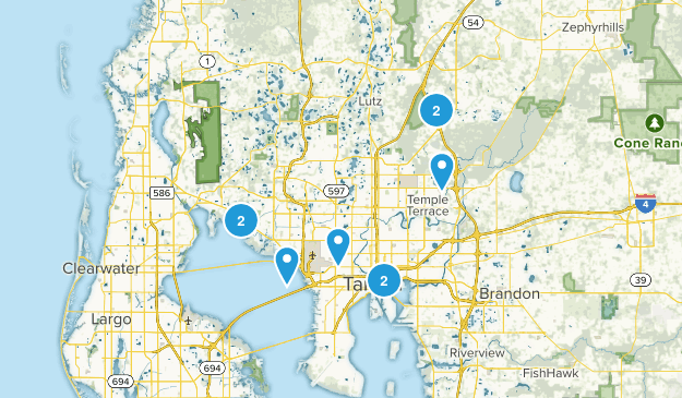 Best Birding Trails near Tampa, Florida | AllTrails