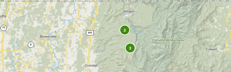 Best Forest Trails in Cisco | AllTrails