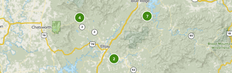 Best Mountain Biking Trails in Ellijay | AllTrails