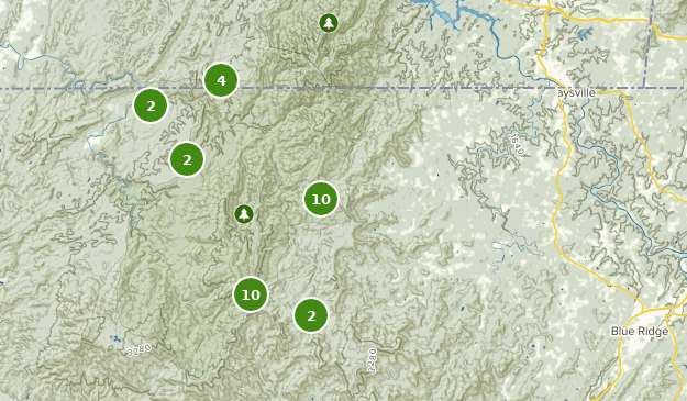 Best Forest Trails near Epworth, Georgia | AllTrails