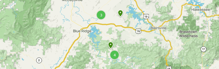 2023 Best Forest Trails in Morganton | AllTrails