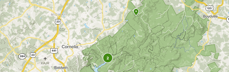 Best Forest Trails in Mount Airy | AllTrails