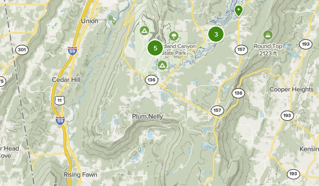 Best Forest Trails near Rising Fawn, Georgia | AllTrails
