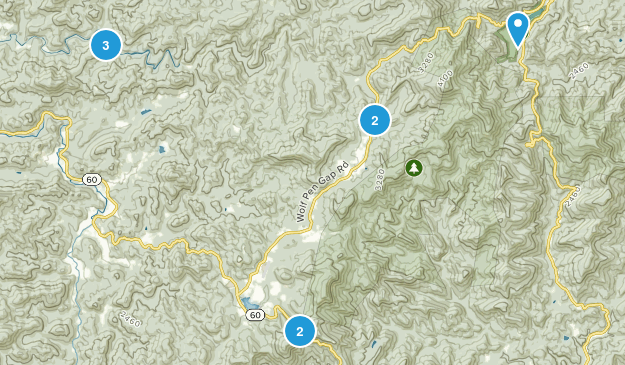 Best Wild Flowers Trails near Suches, Georgia | AllTrails