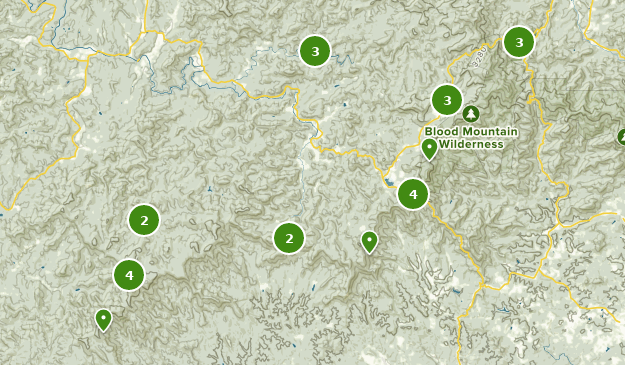 Best Wild Flowers Trails near Suches, Georgia | AllTrails