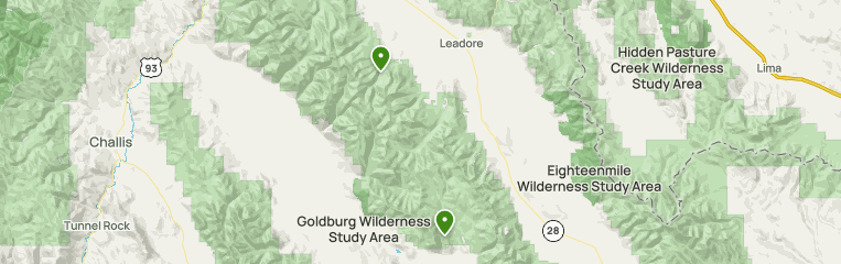 2023 Best Forest Trails in Leadore | AllTrails