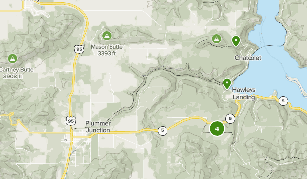 Best Forest Trails near Plummer, Idaho | AllTrails