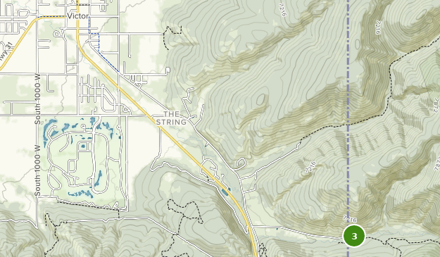 Best Forest Trails near Victor, Idaho | AllTrails