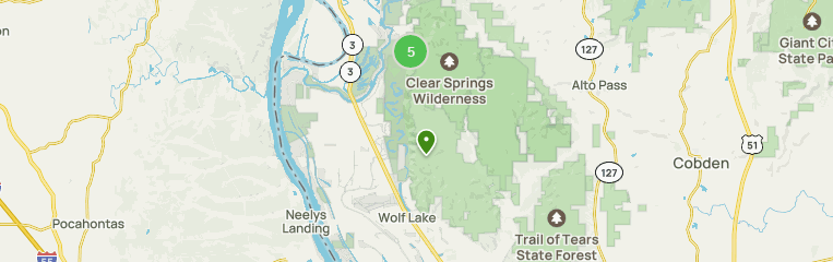 2023 Best Forest Trails in Wolf Lake | AllTrails