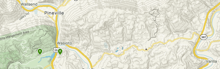 Best Forest Trails in Calvin | AllTrails