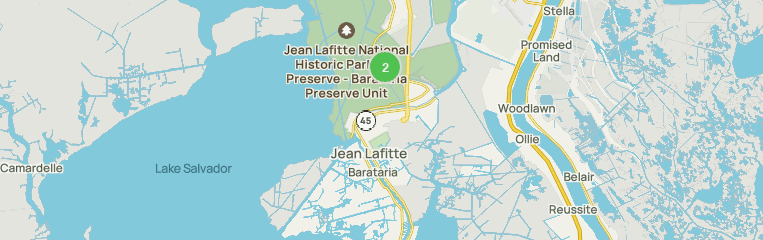 2023 Best Wild Flowers Trails in Barataria | AllTrails