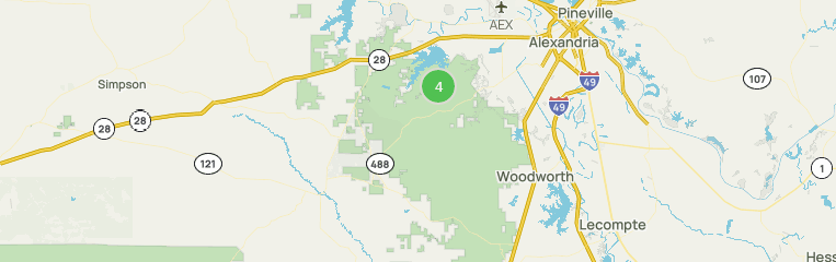 Best Forest Trails in Elmer | AllTrails