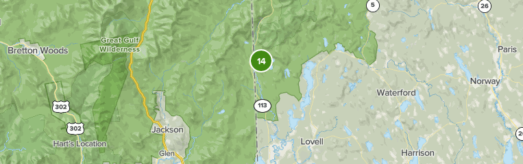 2023 Best 10 Forest Trails in Stow | AllTrails