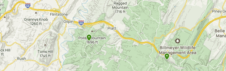 2023 Best Wild Flowers Trails in Flintstone | AllTrails