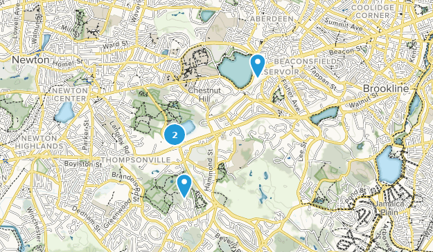 Best Forest Trails near Chestnut Hill, Massachusetts | AllTrails