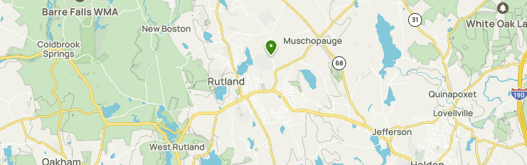 Best Dog Friendly Trails in Rutland | AllTrails